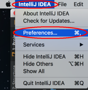 IntelliJ Manage Configurations - Settings, Preferences
